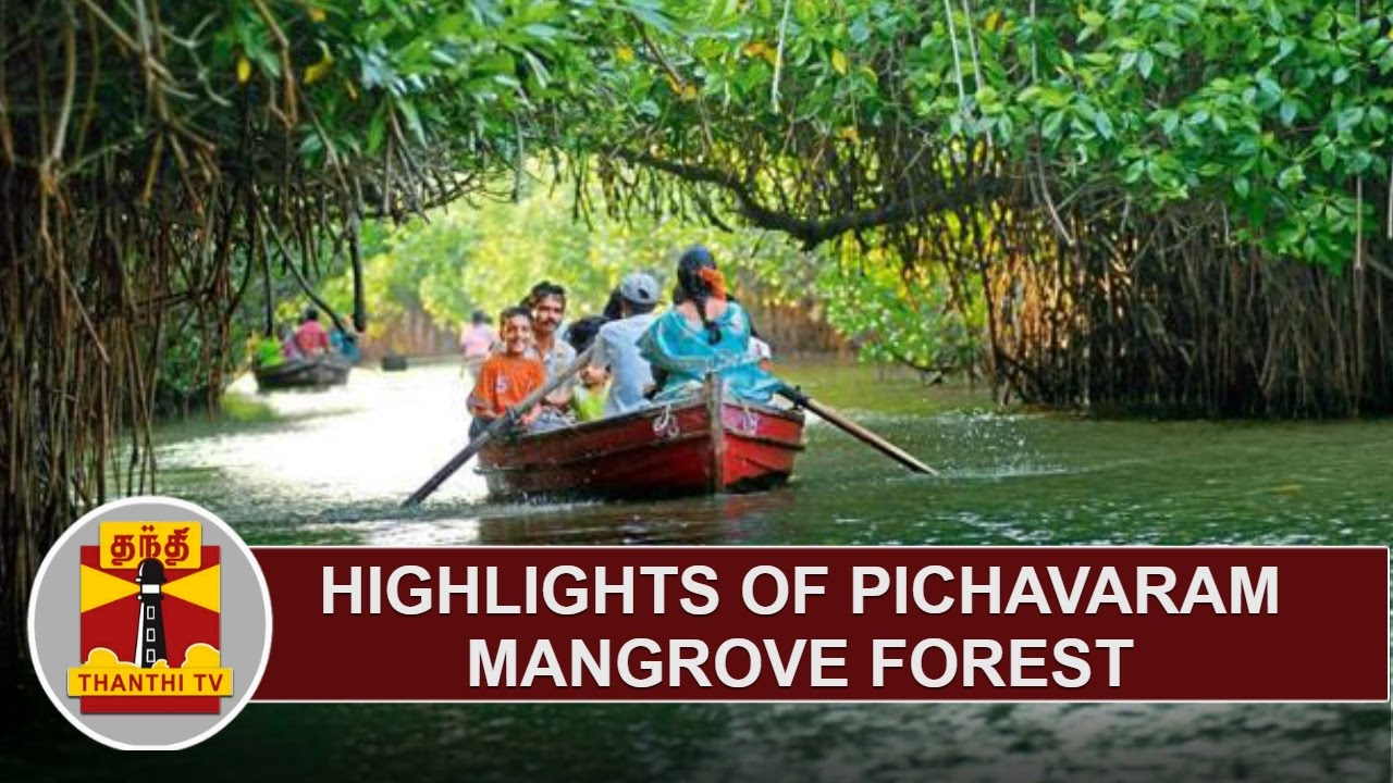 District – DMF Cuddalore District official website